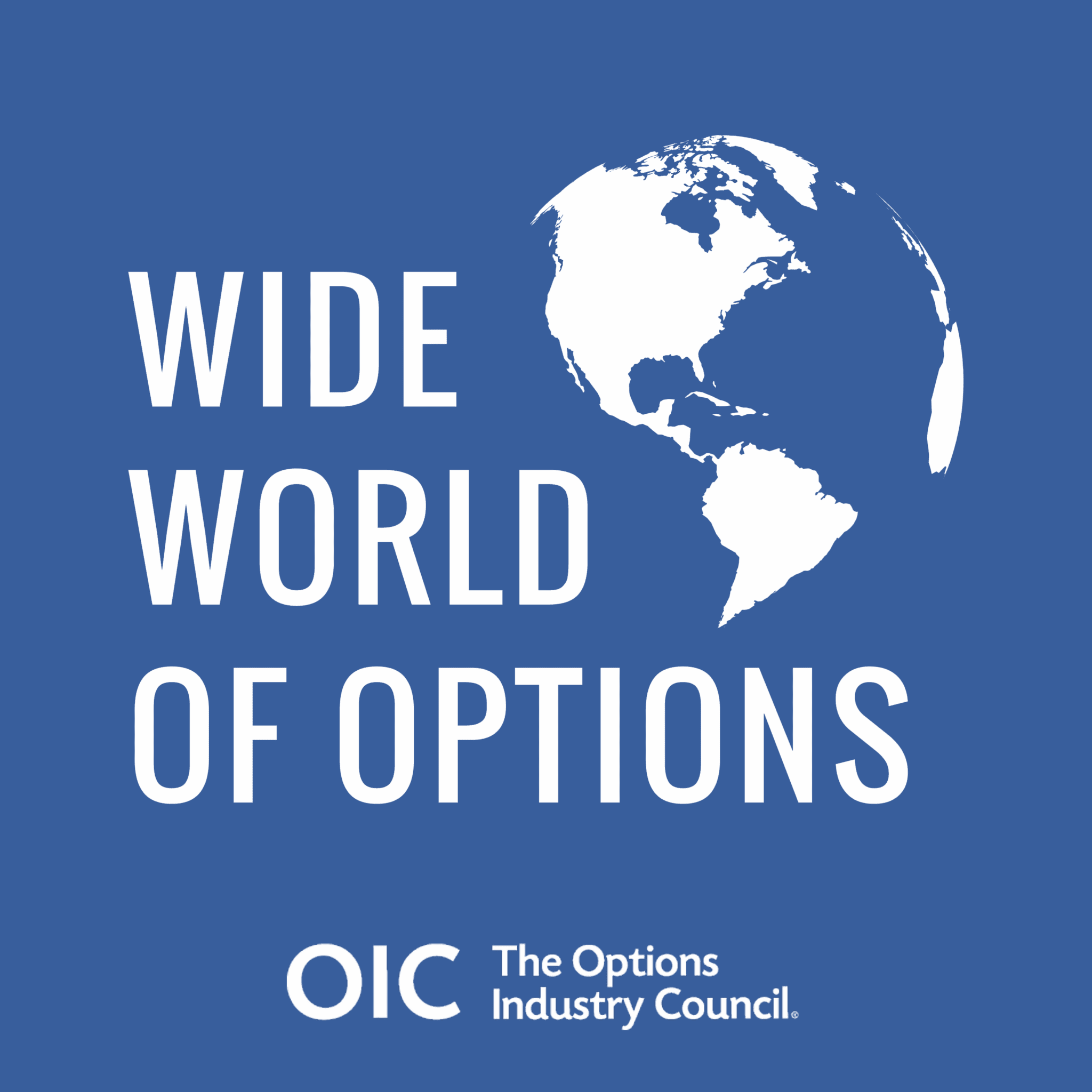 Wide World of Options: Market Madness, AI Boom and a 2026 Outlook | The ...